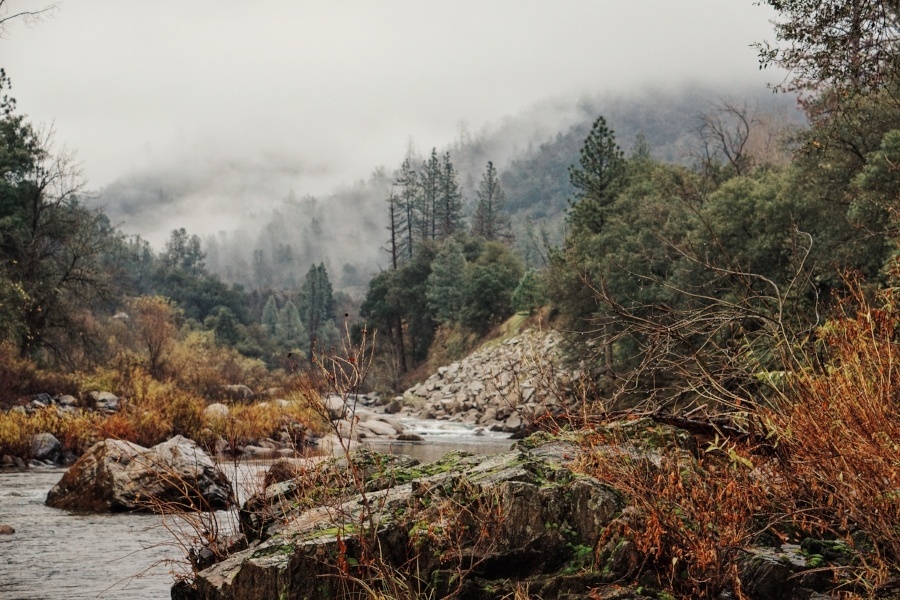 11 steder du kan hente (fine) gratis bilder til bloggen