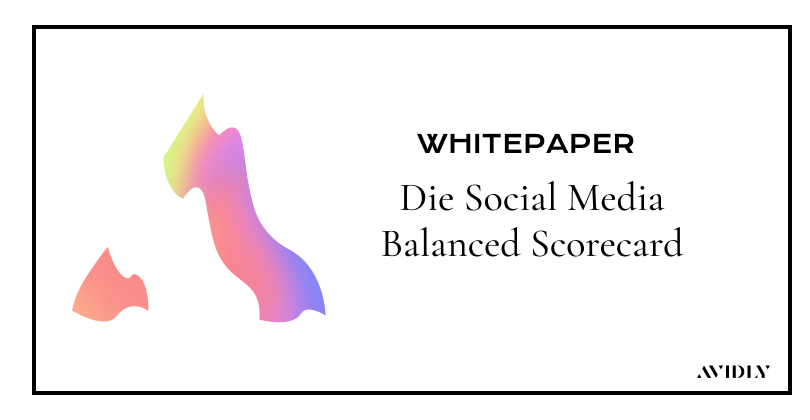 E-Book: Die Social Media Balanced Scorecard